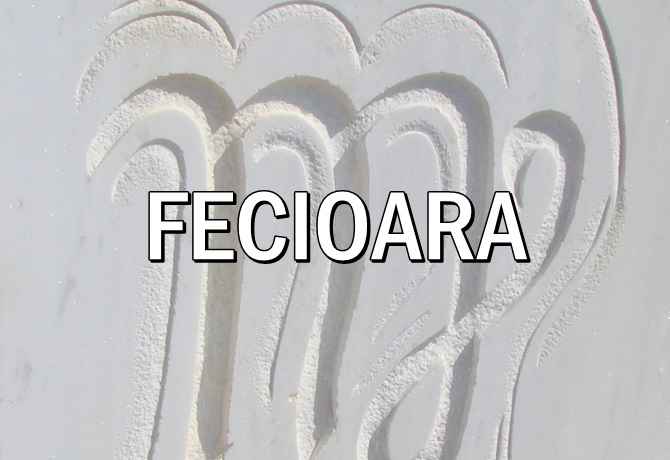 Horoscop de top ACVARIA – FECIOARA Horoscop zilnic Horoscopul zilei ... Horoscop de top ACVARIA – FECIOARA Horoscop zilnic Horoscopul zilei ...