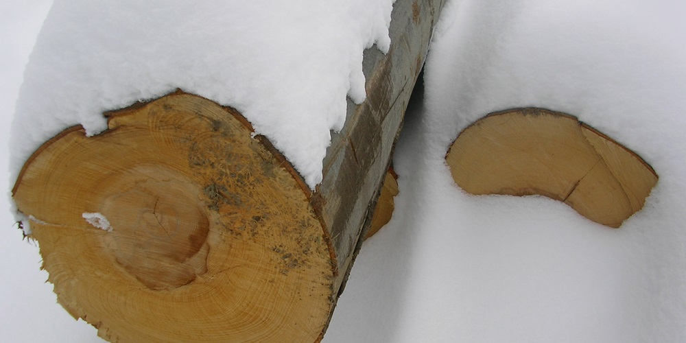 Horoscop de top! ACVARIA.COM & ACVARIA.RO – DICTIONAR DE VISE ...